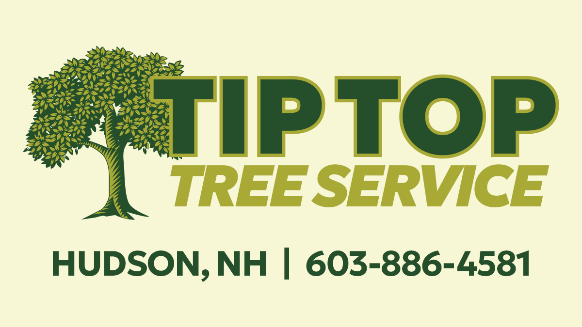 Seasonal Firewood Sales in NH & MA | Tip Top Tree Service