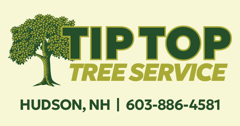 Tree Care Services in NH & MA | Tip Top Tree Service